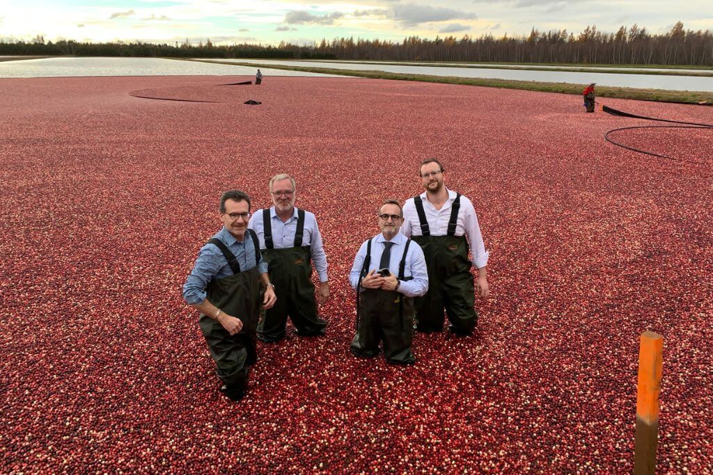 Our Ingredients: Showcasing Cranberries — Brookfarm