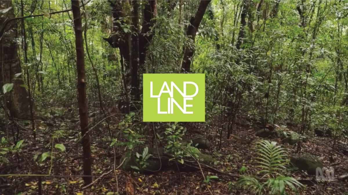 ABC Landline: Science Saving Rainforests program by Big Scrub Rainfore ...