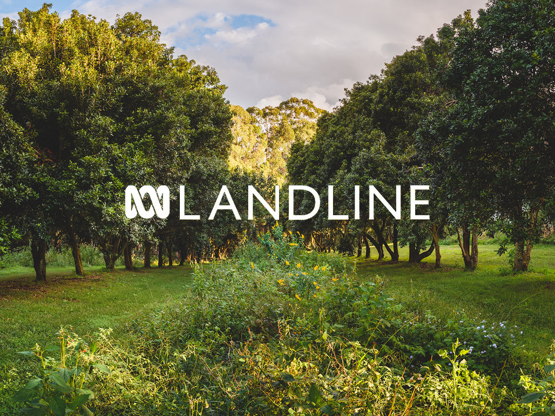 ABC Landline: Speaks to the Brook family on fertile farmland vs. prime ...