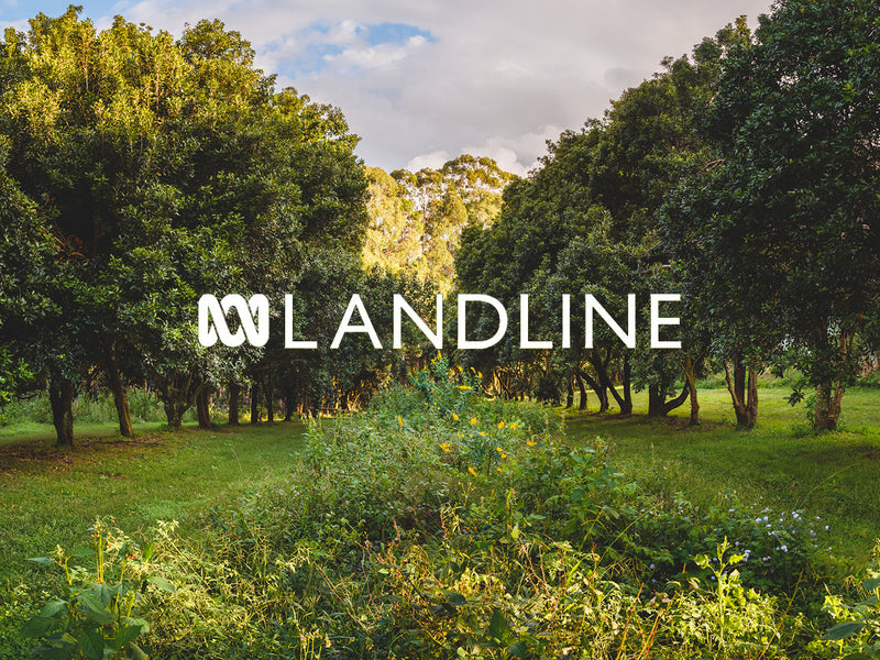 Landline Abc We Hosted A Film Crew From ABC Landline This Morning At